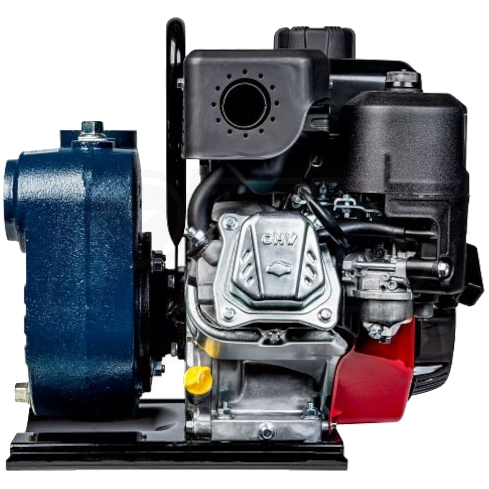 Franklin Electric 90271112 FBSGF-12H - 310 GPM 3-Inch Water Pump w ...